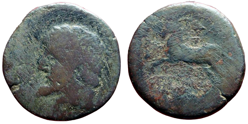 Numidia: bronze Æ26 of Micipsa, ca. 188-148 BC; head of Masinissa ...