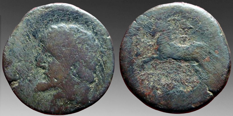 Numidia: bronze Æ26 of Micipsa, ca. 188-148 BC; head of Masinissa ...